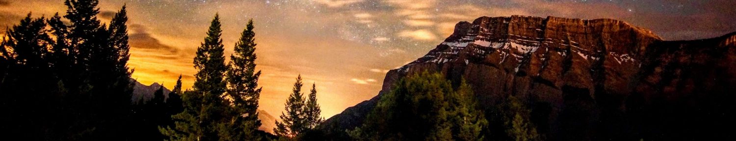 The Parable of the Shrewd Manager – Who Do You Say He Is?